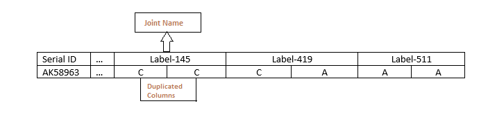Manipulation Duplication And Indexing Of Columns Based On Conditions Using Pandas By Shubham