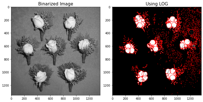 Image Processing — Blob Detection By Ralph Caubalejo Jan 2021 Towards Data Science