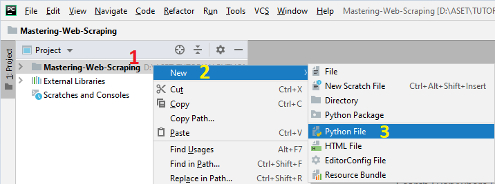 How to Master Web Scraping using Python in less than 30 minutes
