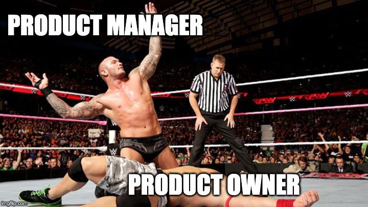 Product Owner
