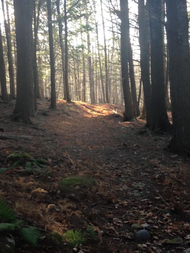 Hiking. Whitten Hill in Bowdoin, Maine has… | by Shelby Elonis | Medium