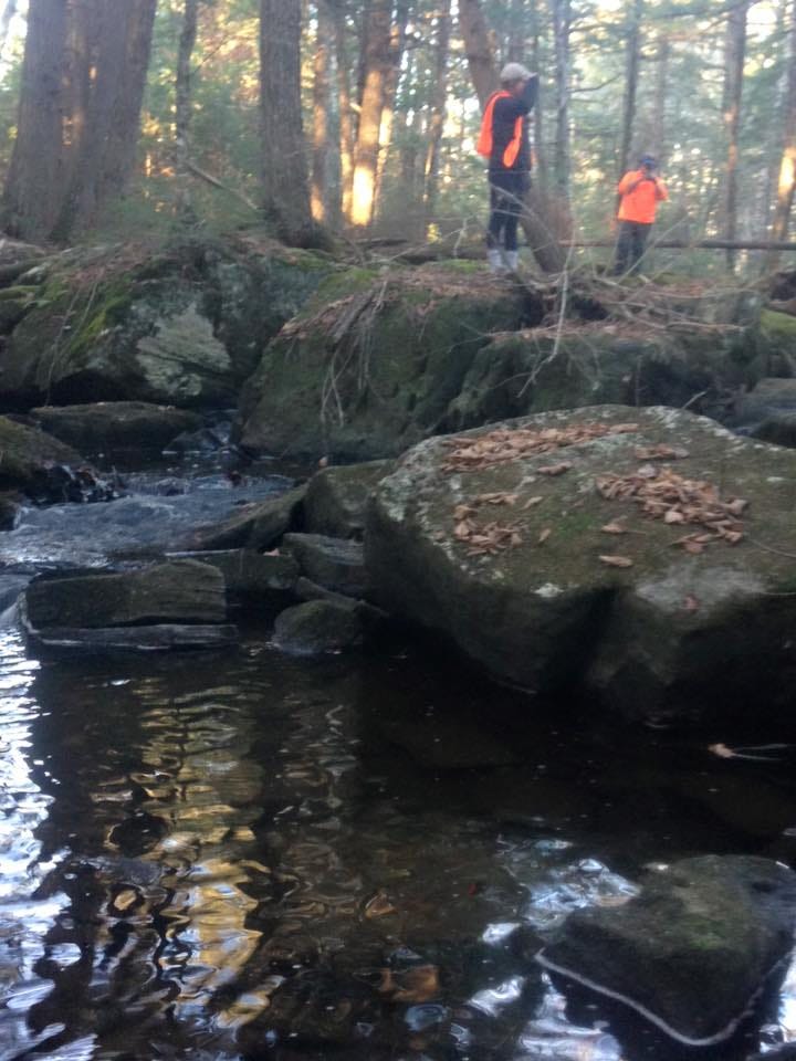Hiking. Whitten Hill in Bowdoin, Maine has… | by Shelby Elonis | Medium