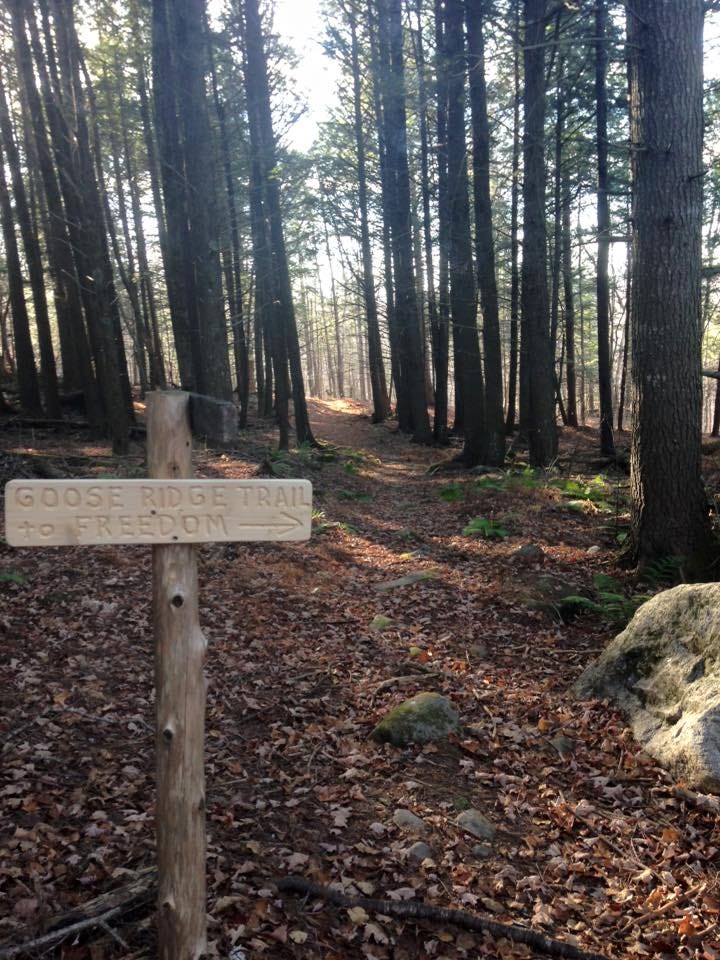 Hiking. Whitten Hill in Bowdoin, Maine has… | by Shelby Elonis | Medium
