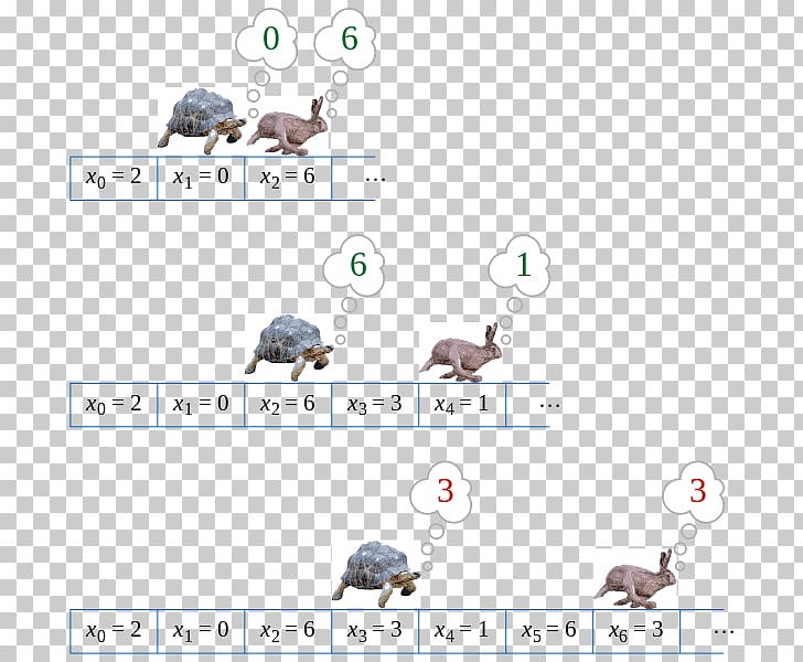 Hare and Tortoise(Floyd`s Algorithm) | by Thanhtrung | Medium