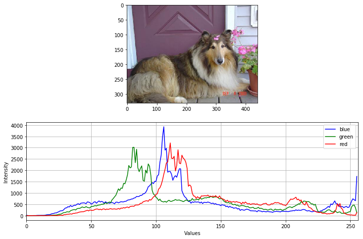 Transfer Learning with Keras on TensorFlow | by Takahiro Ishikawa ...