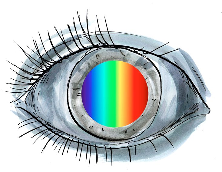 20 Ways to See the Light - Nautilus Magazine - Medium