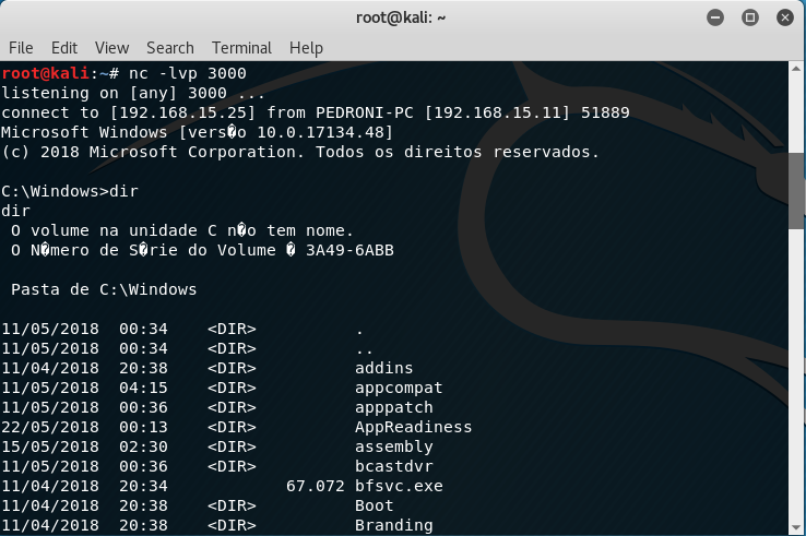 Reverse Shell com Netcat. O Netcat é uma completa ferramenta para… | by Matheus Pedroni | Medium