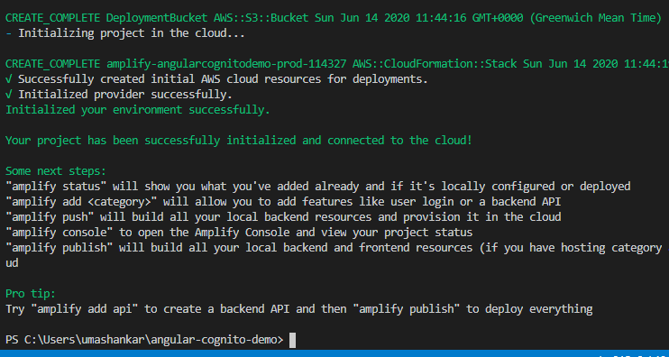 Aws Cognito Hosted Ui For Angular Application With Aspnet Core By Uma Shankar Patel Jun