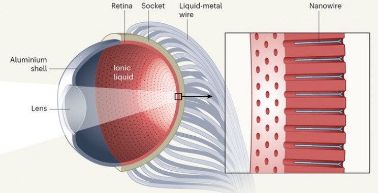 Scientists Have Created an Artificial Eye for the Visually Impaired ...