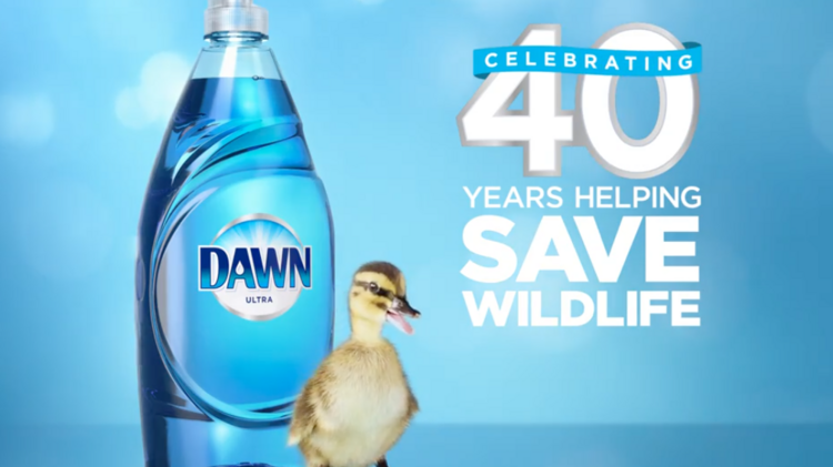 Dawn Saves The Day: Dawn’s Strategy in Advertising | by Samara Wagner ...