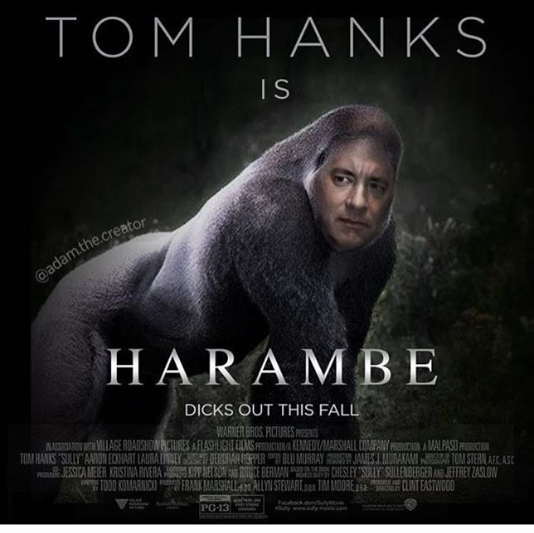 The Death and re:Death of Harambe - The Ish
