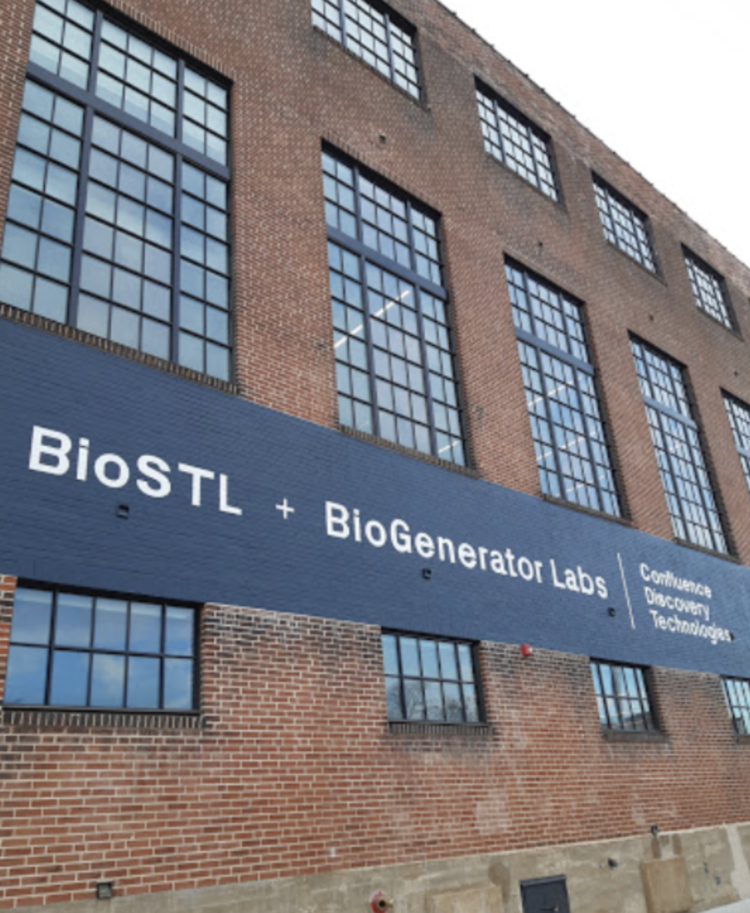 Case Study: Developing Inclusive Entrepreneurship in St. Louis | by ...