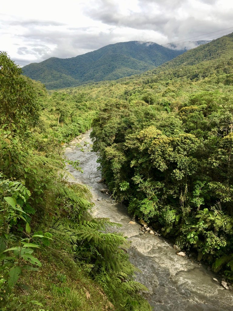 Ambling around the Amazon. Itinerary: Cusco > Rainforest Lodge >… | by ...