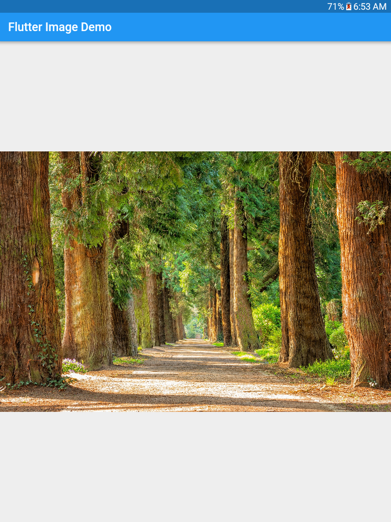 How to add images to your Flutter application | by Varun Chilukuri | Flutter Community | Medium