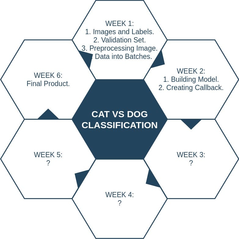 What About a 6-Week Machine Learning Project? Beginners Friendly Cat vs ...