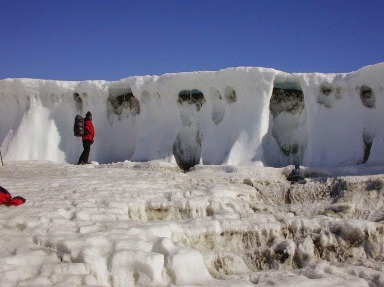 Cryoconite: the Kryptonite of Arctic melt | by Emily Zhao | The Climate ...