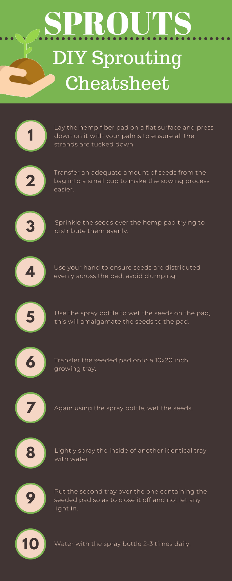 DIY Sprouting and Nutritional Benefits of Sprouts | by ZenLearner | Medium