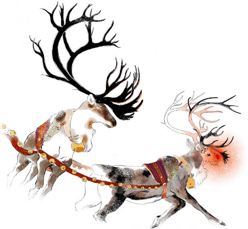 Finding Rudolf. My friendship with Santa’s most… | by Heidi K. Isern ...