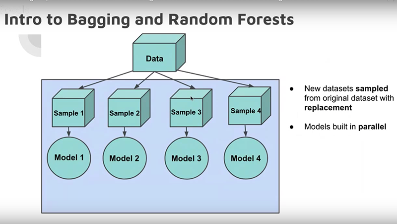 Walking the Random Forest and boosting the trees | by Cambridge Spark ...