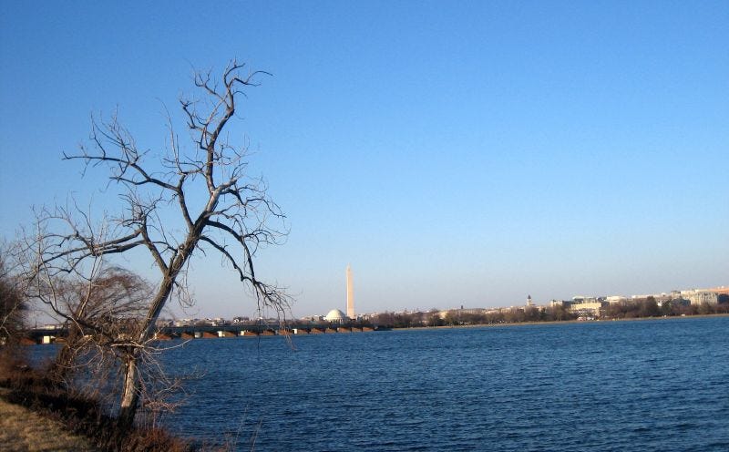 The Space Between. Where do we really live in the midst of… | by Mikala ...