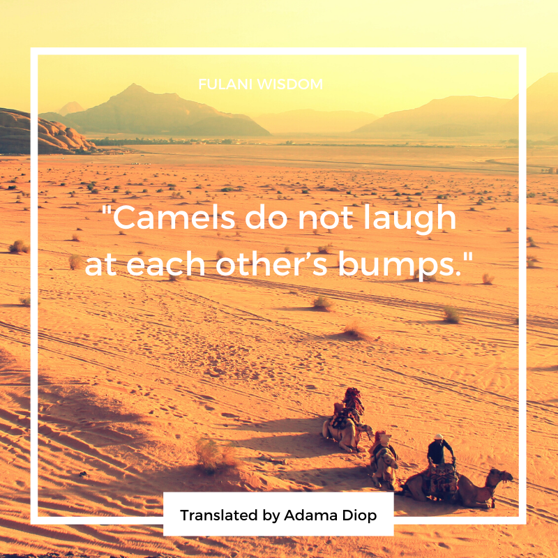 10 Fulani Wisdom Specially Curated For You - Adama Diop - Medium