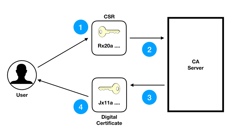 PKI Signing Requests And Certificate Issuance For Network ...