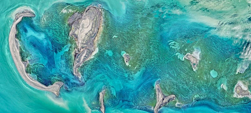 Revealing the Seabed Floor. In 2019 a partnership was announced… | by ...