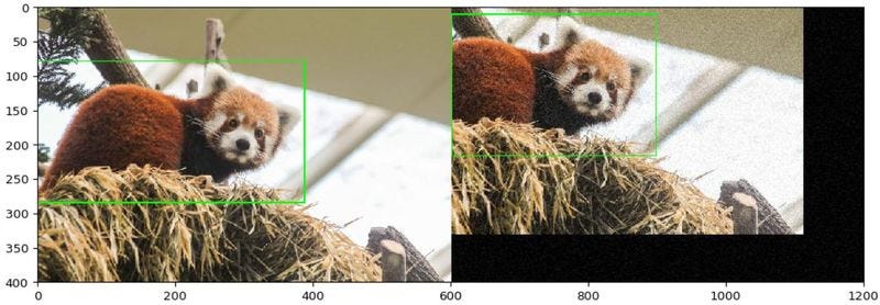 Learn to Augment Images and Multiple Bounding Boxes for Deep Learning in 4 Steps [or just run ...