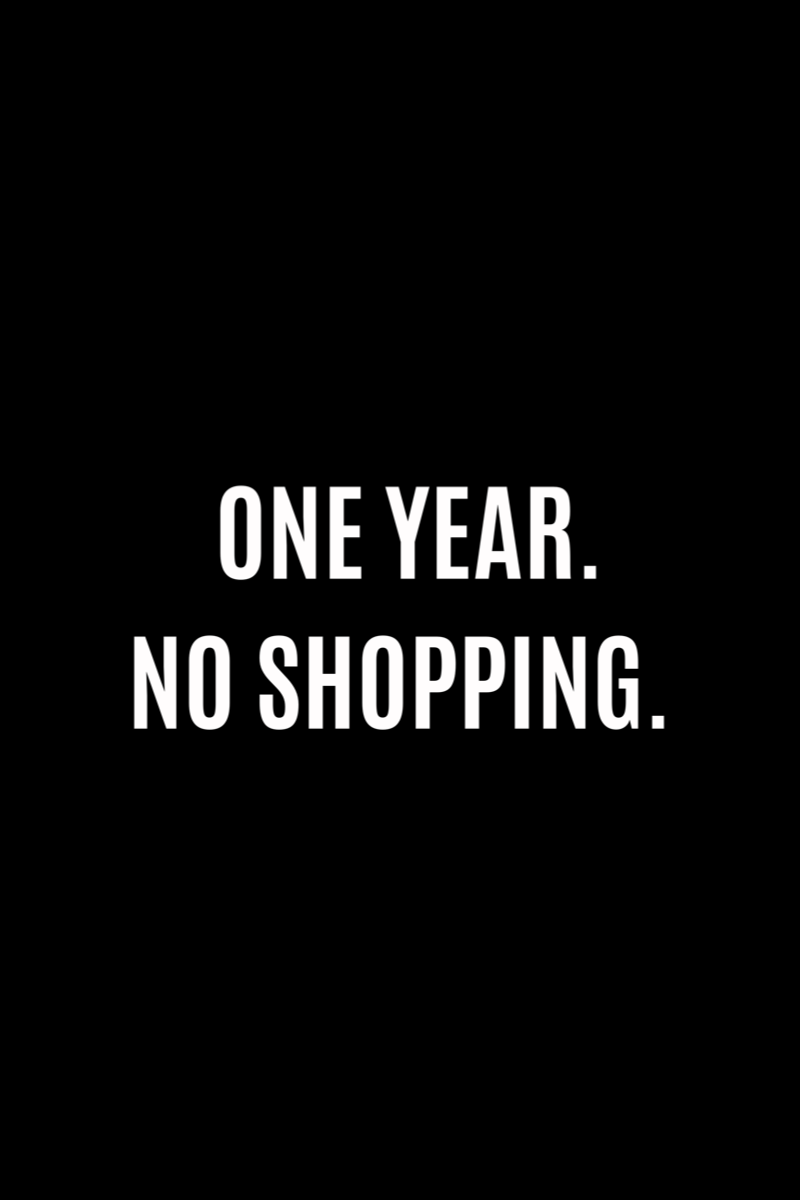 One Year. No Shopping.. Last year, I came across this article… | by ...