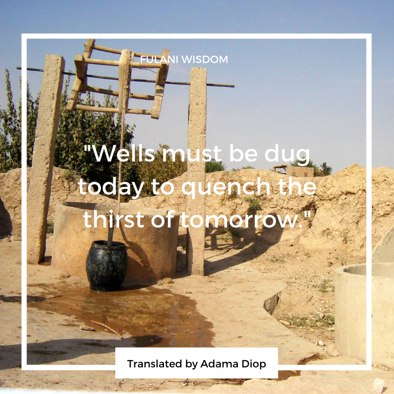 10 Fulani Wisdom Specially Curated For You - Adama Diop - Medium