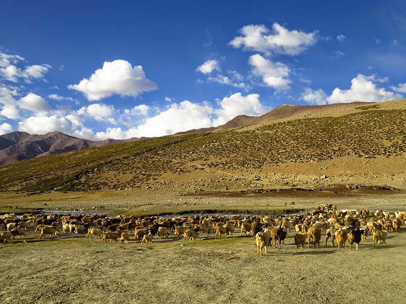 THE 4 COOLEST TREKS IN LADAKH. Ladakh, a mystical and isolated land ...