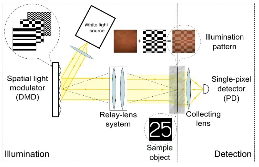 Single Pixel Camera Takes Images Through Breast Tissue | by The Physics ...