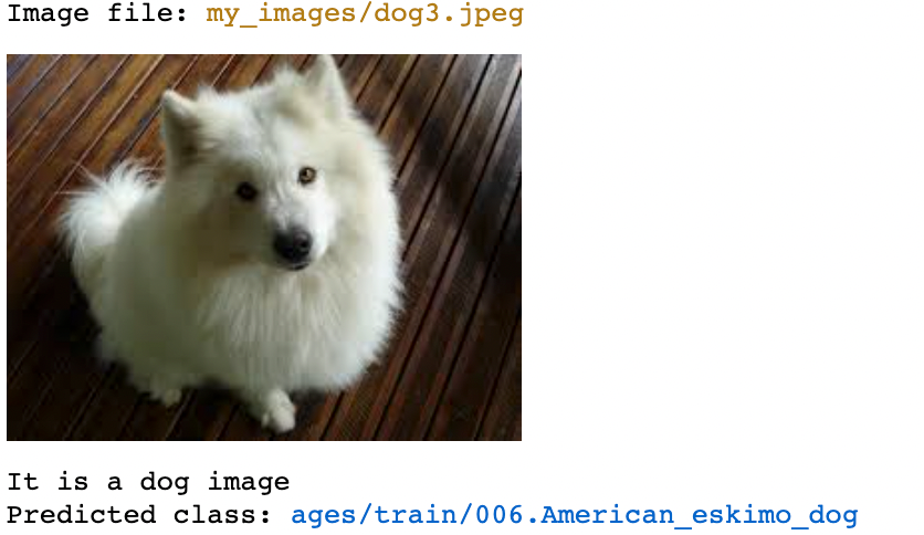Using CNN — Dog Breed Classifier. This is the capstone project of ...