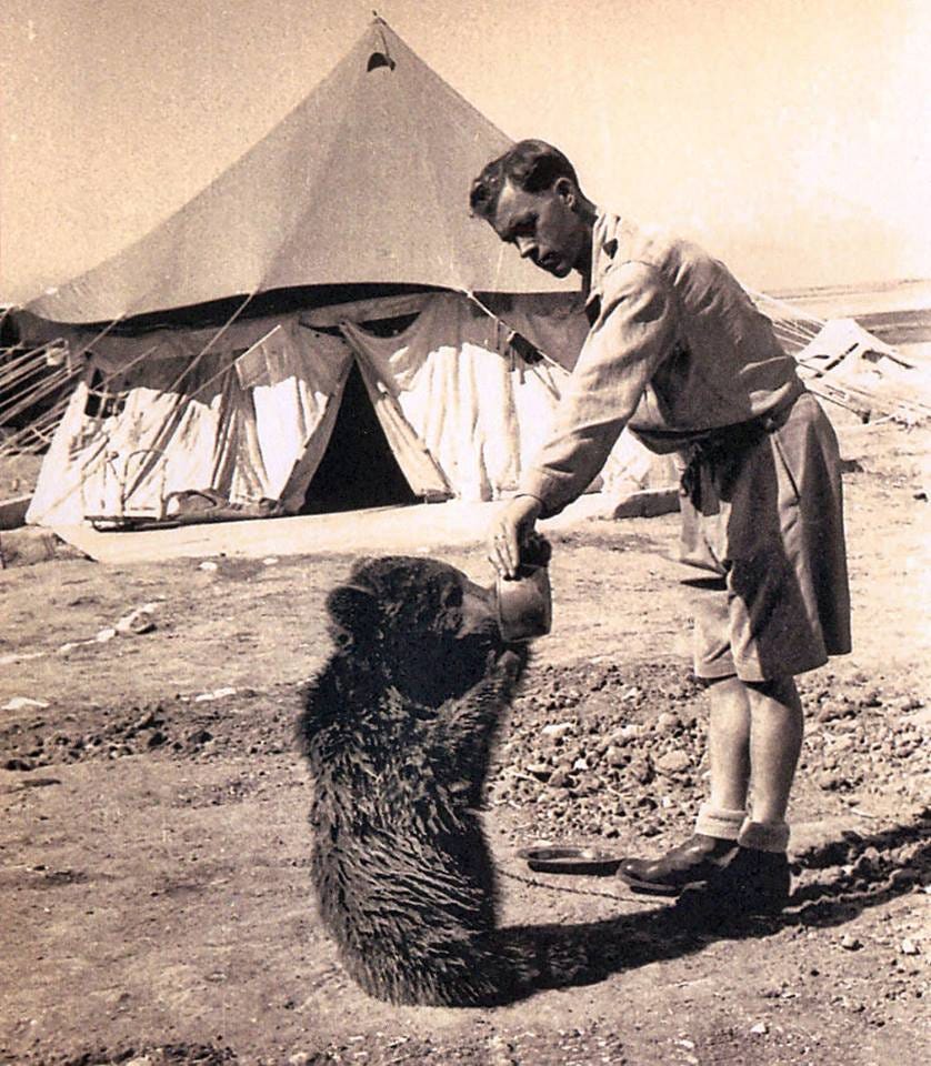 Corporal Wojtek — The Beer-Drinking Bear Who Fought In WWII
