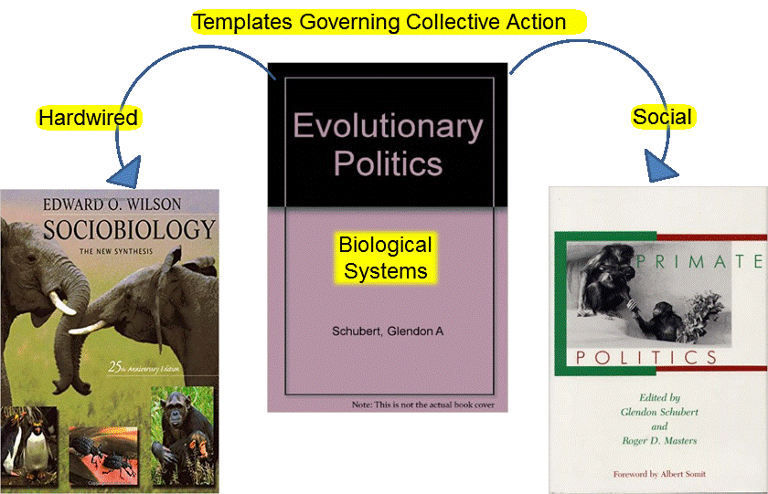 Macroscopic Evolutionary Paradigm | by Doc Huston | A Passion to Evolve ...