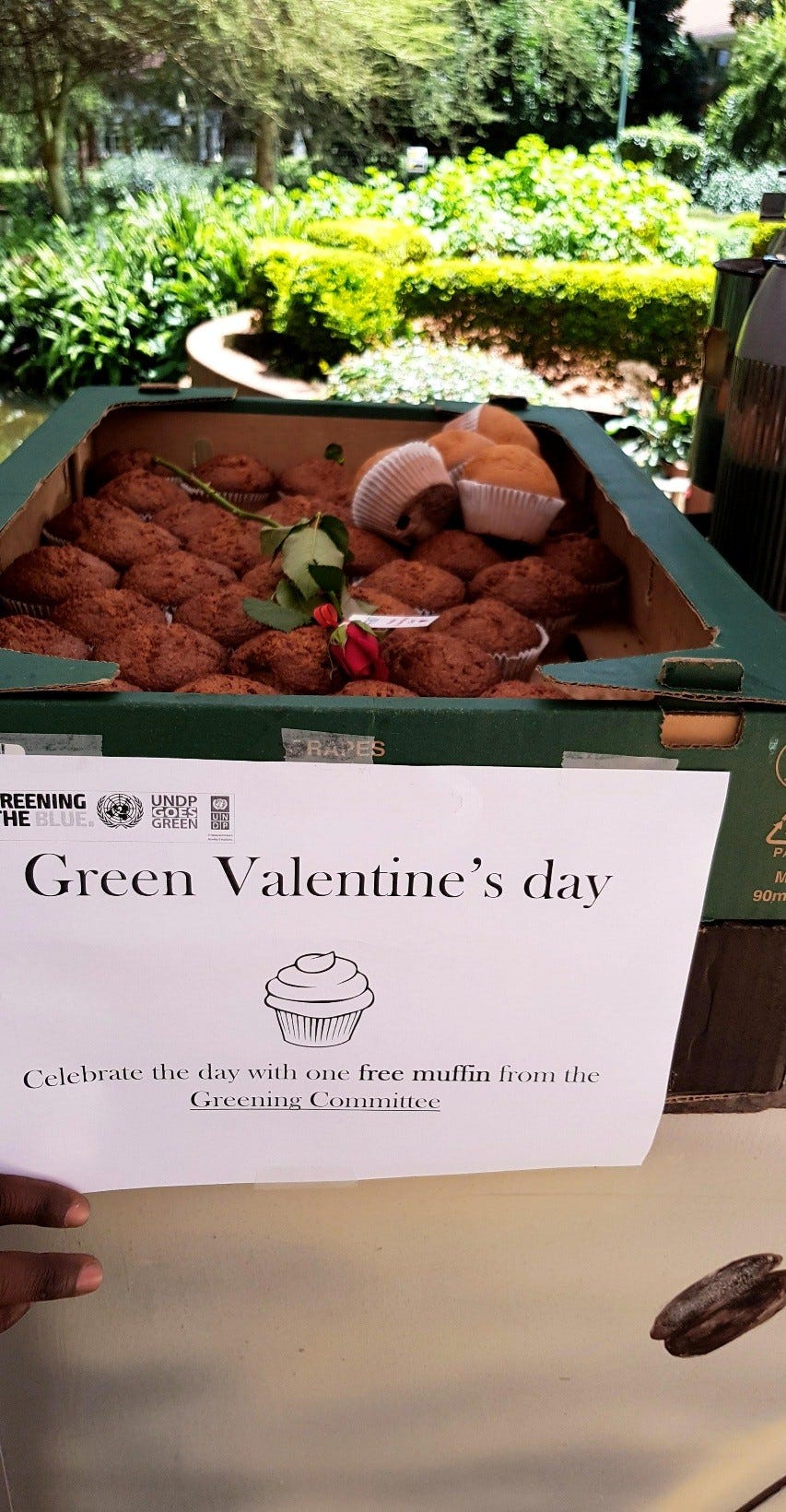 GREEN VALENTINE’S DAY. Last month Green Friday was not a… | by sauda ...