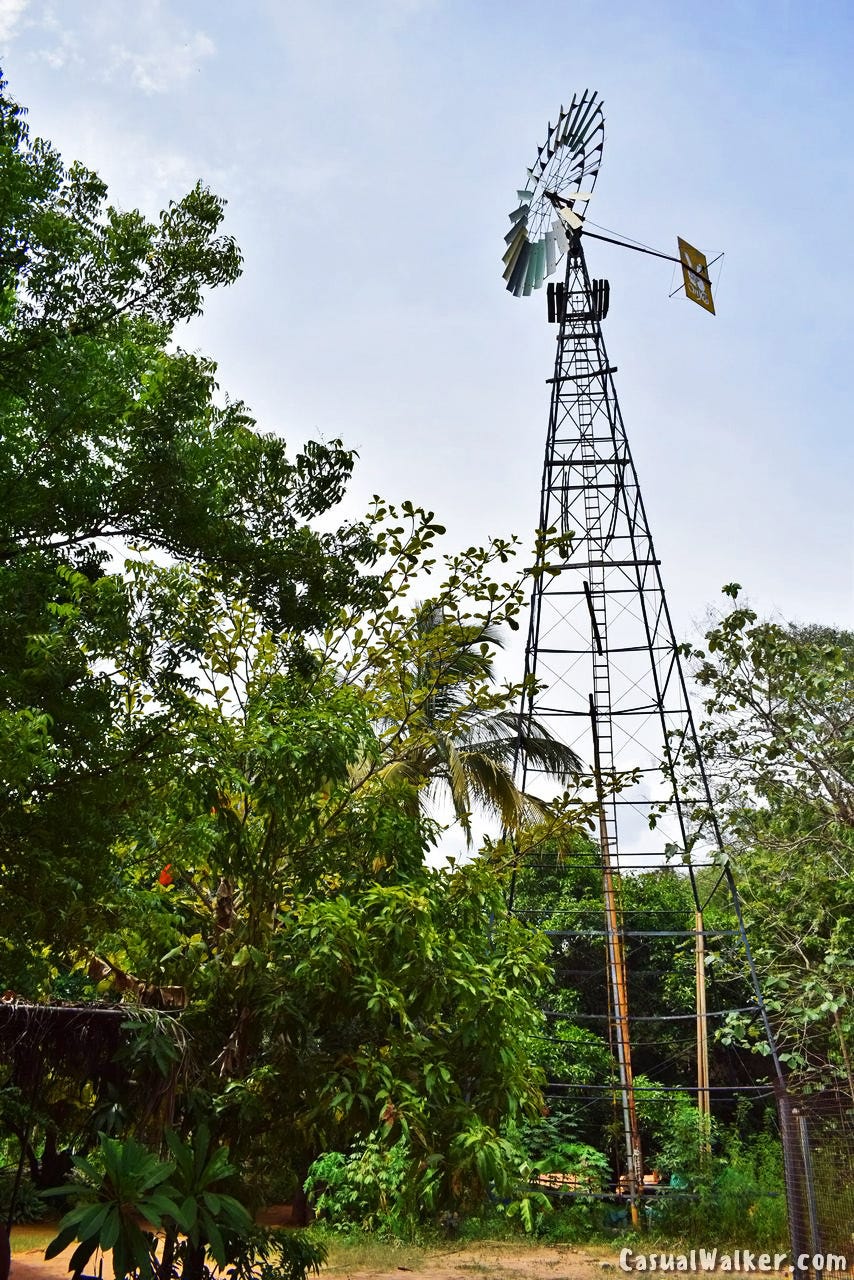Solitude Farm — Food Discovery Trail, Auroville, Pondicherry Visit ...