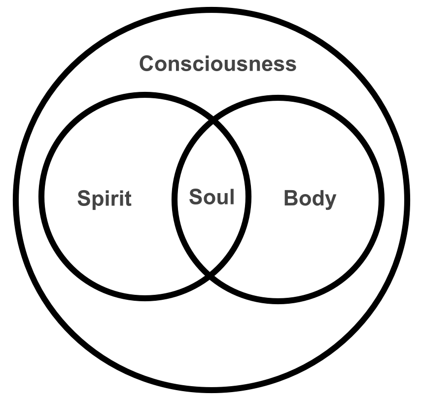 On the Nature of Consciousness - PenPal - Medium