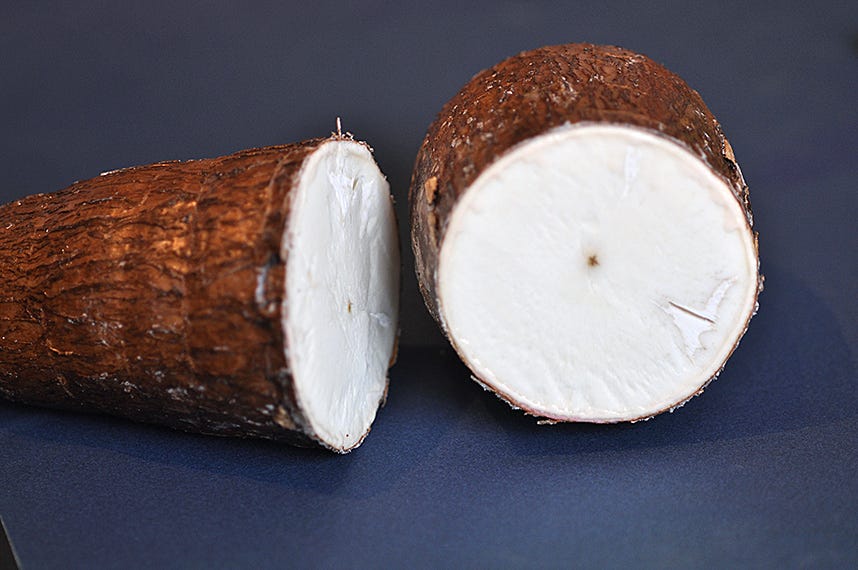 Banned: Cassava — the cyanide-laced vegetable eaten by 700 million people
