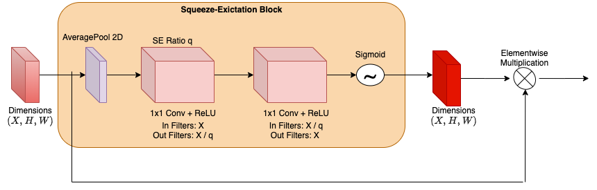 RegNet Architecture - Facebook AI | VisionWizard
