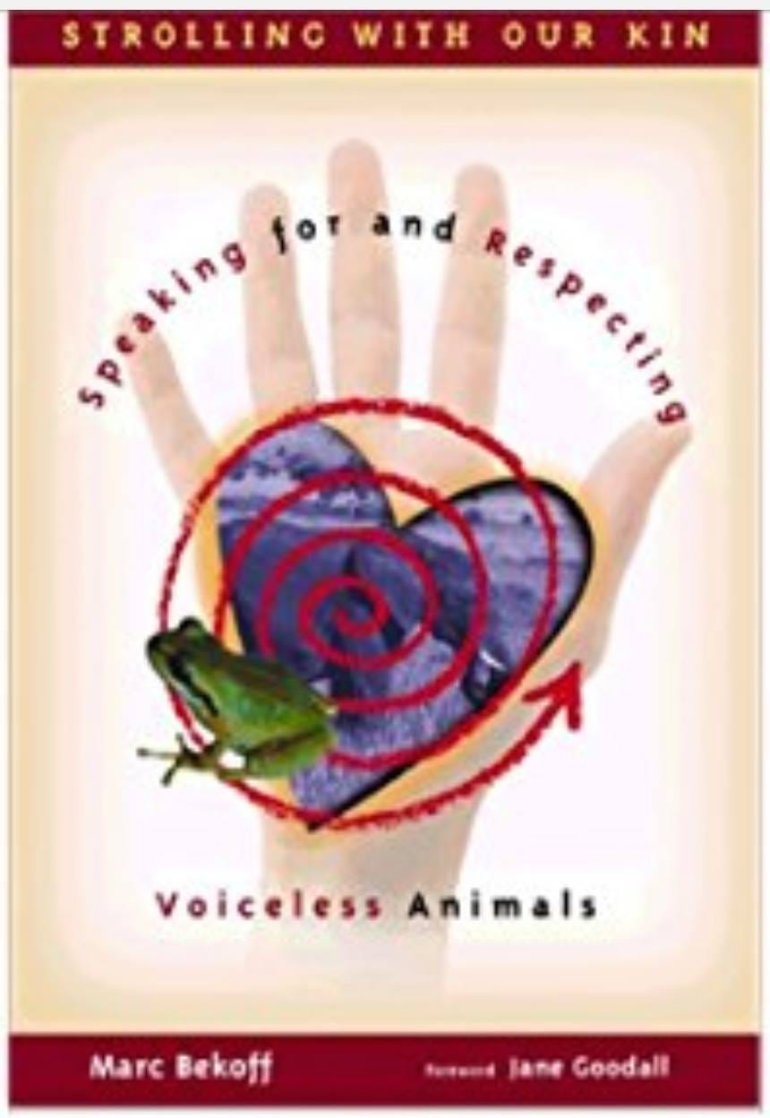《DISSECTION AND VIVISECTION: YOU DO NOT NEED TO CUT ANIMALS TO LEARN ...