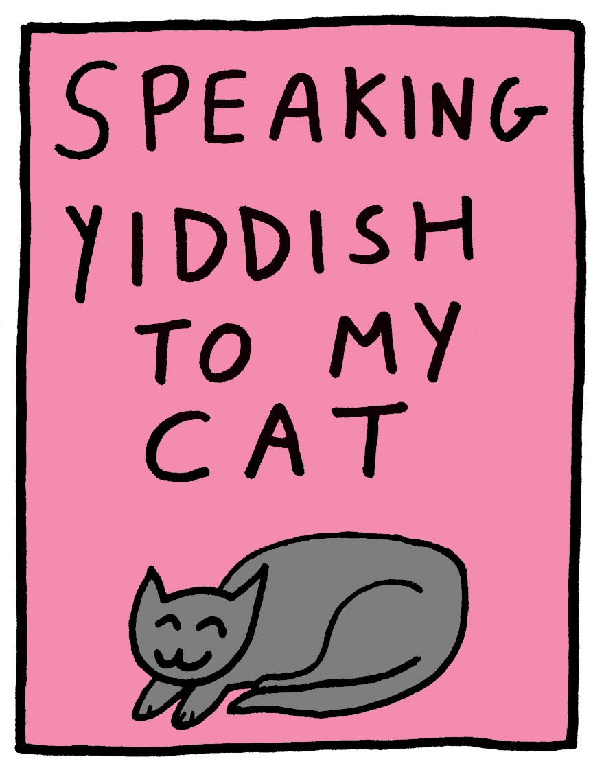 Speaking Yiddish to My Cat. “You’re really hakn me a tshaynik!” | by ...