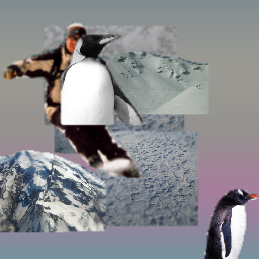Using AI to Create Collages from Prompts | Towards Data Science