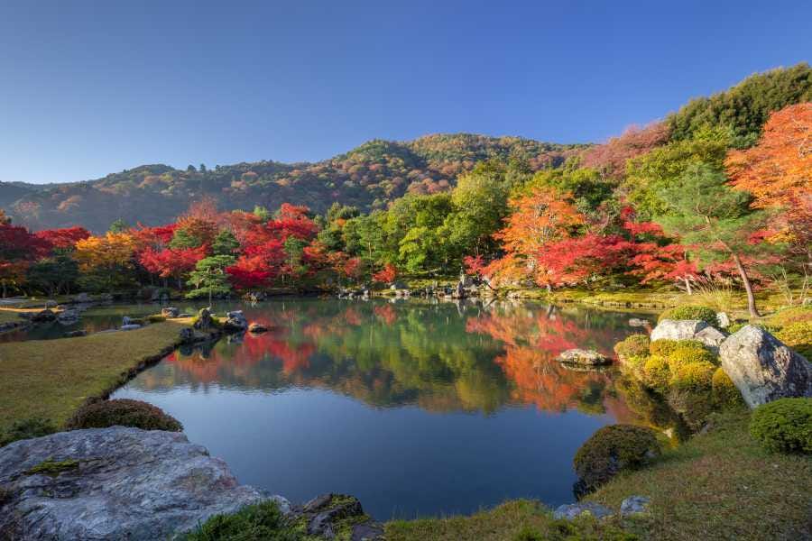 【Travel Japan】Autumn Colors in Kyoto: 10 Best Leaf Peeping Spots | by ...