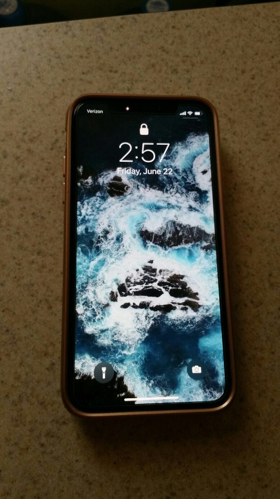 iPhone X Product Review. Product name model/options: | by Heather ...