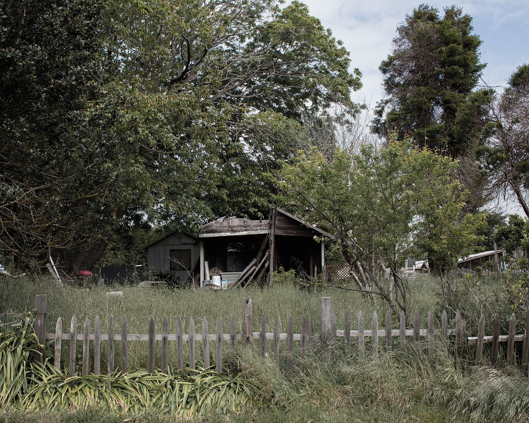 The Man in the Woods. An epic manhunt for a murderer in the… | by ...