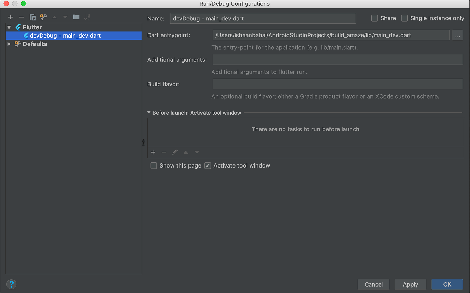 Unable To Run Flutter From Android Studio Entry Point Isn