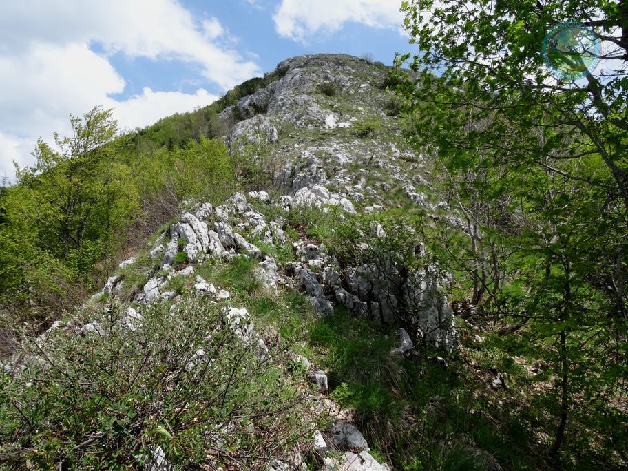 Mali Vojnik 1.773mnm - Vojnik. Početak staze: 1.109 mnm , katun Živa ...