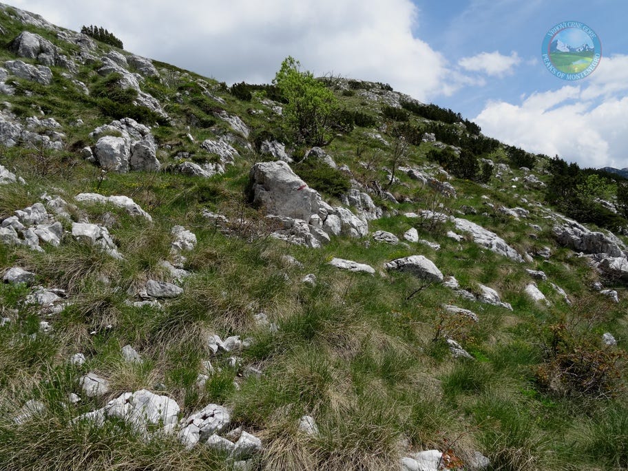 Mali Vojnik 1.773mnm - Vojnik. Početak staze: 1.109 mnm , katun Živa ...