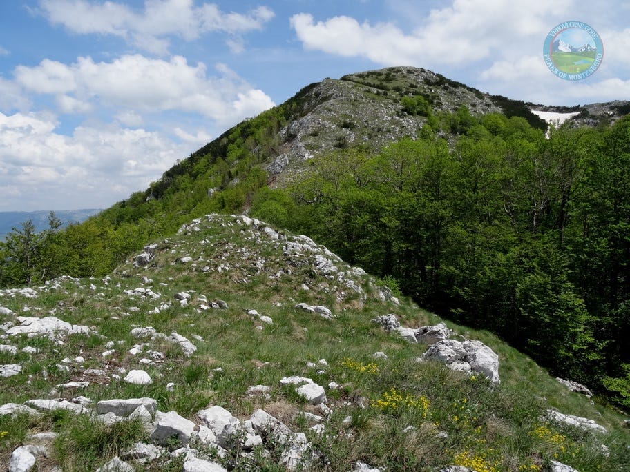 Mali Vojnik 1.773mnm - Vojnik. Početak staze: 1.109 mnm , katun Živa ...